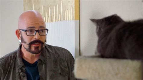 My Cat From Hell 2011 Season 10 Streaming Watch And Stream Online Via
