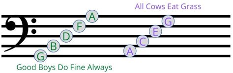 How To Read Sheet Music And Notes Easy Step By Step Instructions