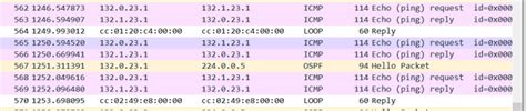 协议分析 Ip和icmp实验（gns3 Andand Wireshark）ip与icmp数据报分析实验 Csdn博客