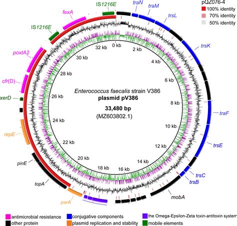 Linezolid Resistant Enterococcus Faecalis Of Chicken Origin Harbored