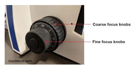 Compound Microscope Parts Labeled Diagram And Their Functions Rs