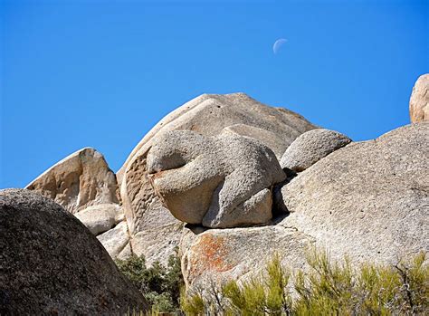 Sleeping Bear Cub Photos Diagrams And Topos Summitpost