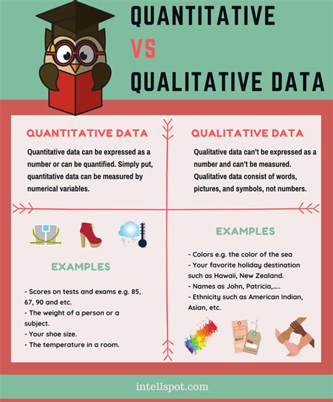 Qualitative Data Definition Examples At Alan Padilla Blog