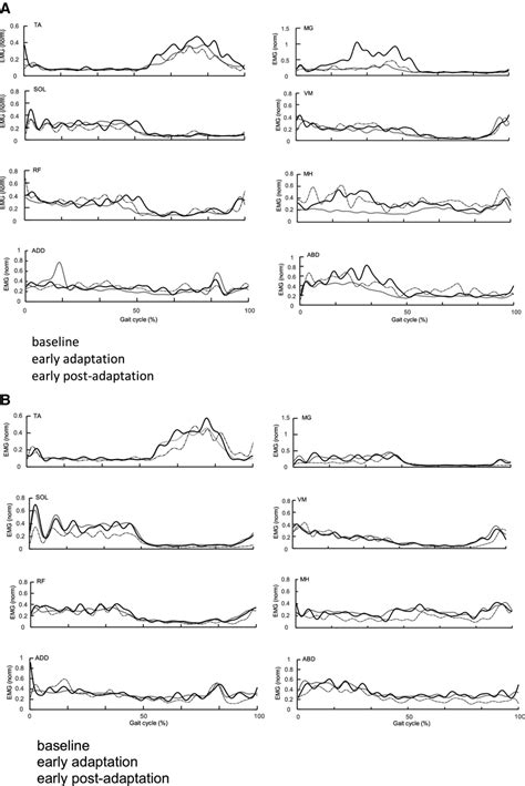 Emg Data From One Subject During Baseline Early Adaptation Period