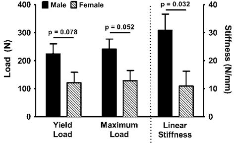 Acl Structural Properties For Knees Treated With Bridgeenhanced Acl