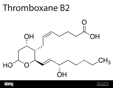 A Chemical Formula Structure Of Thromboxane B2 On White Background Stock Vector Image And Art Alamy