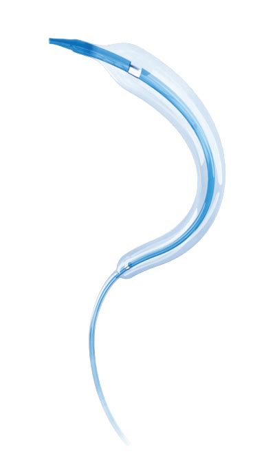 Cruiseptca Balloon Palmmed