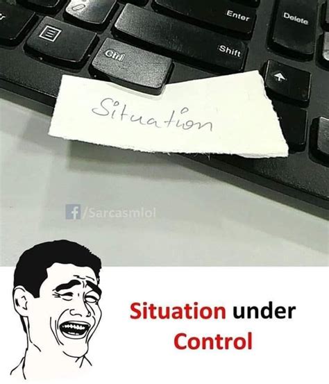 Situation Under Control Funny Memes Divertente