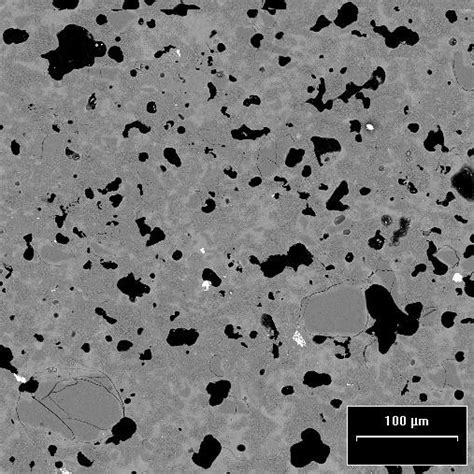 Sem Micrograph Of A Polished Crosssection Of Composition D10