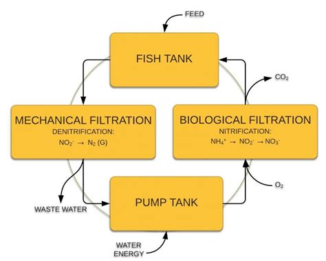 Recirculating Aquaculture System Or Ras Aquaculture Id