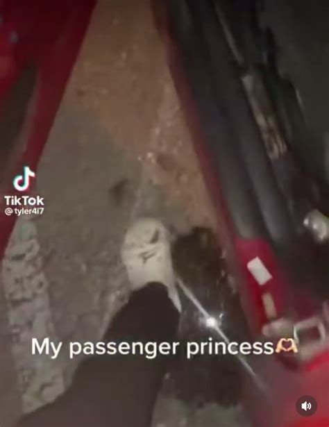 Passenger Princess 👑 Rthecontentfarm