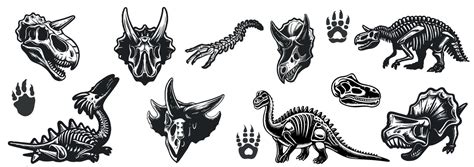 Dinosaur Skeleton Tattoo