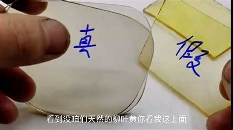 真假竹叶青柳叶黄如何辨别真假生活生活技巧好看视频