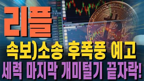 리플 코인전망 속보소송 후폭풍 예고 세력 마지막 개미 털기 끝자락입니다 리플 Xrp Youtube
