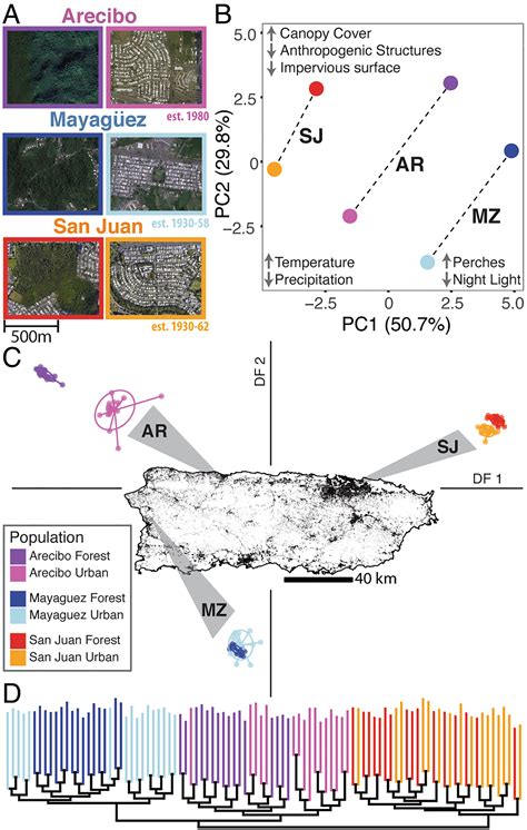 The Parallelism Of Axis Astronomy