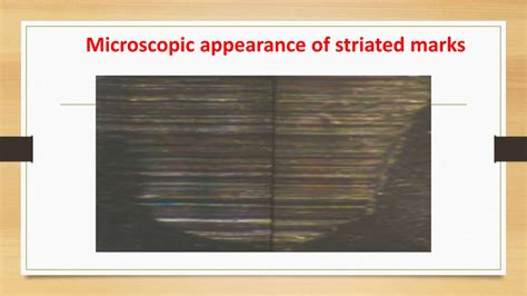 Forensic Importance Of Tool Marks Pptx Pptx