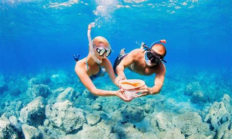 11 Best Turks And Caicos Snorkeling Tours 2024