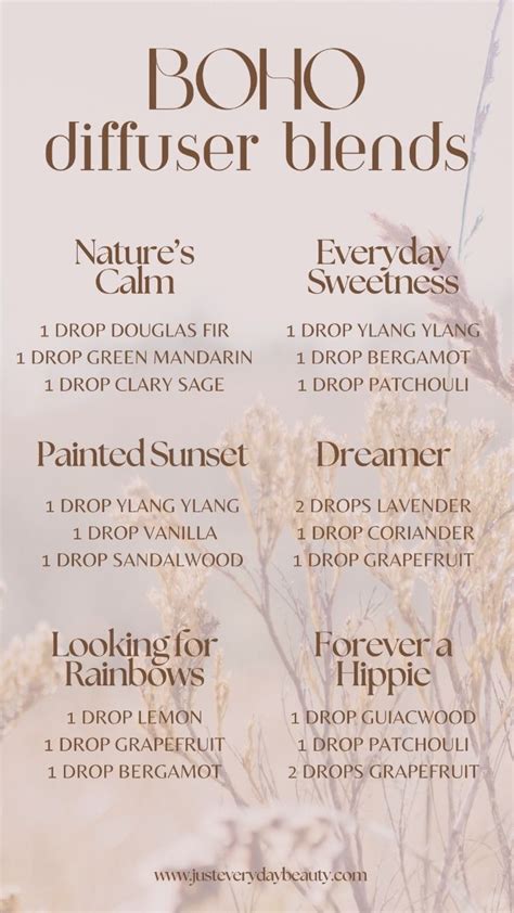 Boho Inspired Diffuser Blends Essential Oil Diffuser Blends Recipes