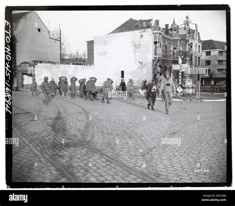 Archive Data Storage Business File Office Document Information Database Management