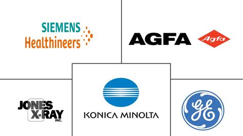 Dimensione Del Mercato Della Radiografia Computerizzata E Analisi Della