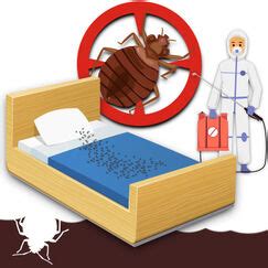 Matelas Dossier Que Choisir Ensemble