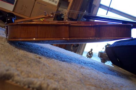 Location Of Maximum Aching Height Of Violin Plates The Pegbox Maestronet Forums