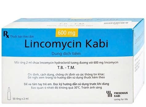 Lincomycin Kabi 600mg2ml Thuốc Tiêm Kháng Sinh điều Trị Nhiễm Khuẩn