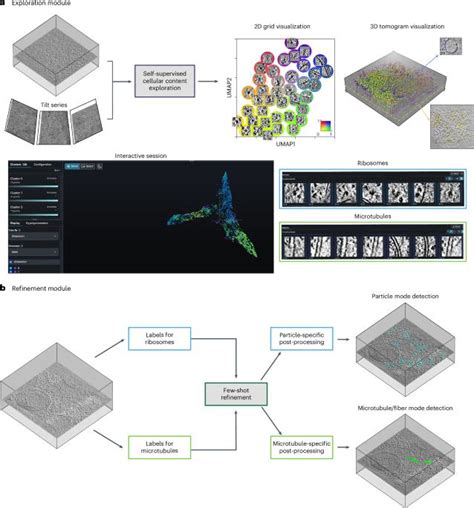 qinwen wendy huang on linkedin milopyp self supervised molecular