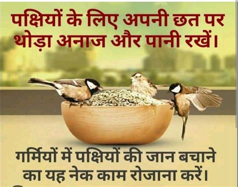 Sayed Hasan Taqvi On Linkedin शेयर जरूर करे