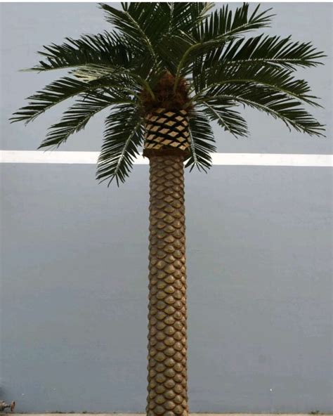 Outdoor Artificial Palm Tree Uv Resistant Faux Trees Oakco