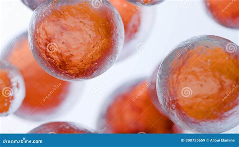 Fat Cells Adipocyte And Lipocyte Cholesterol In A Cells Stock Image