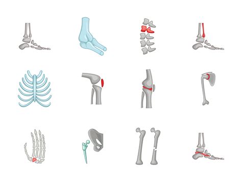 Human Bones Icon Set Cartoon Style 9017568 Vector Art At Vecteezy
