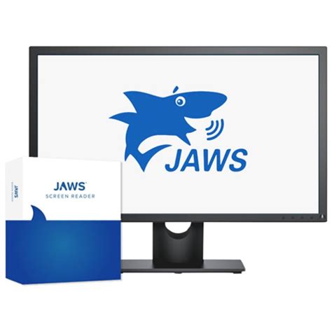 Jaws For Windows Screen Reader For The Blind