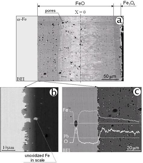 Scale Microstructure A B And Elements Distribution In The Vicinity