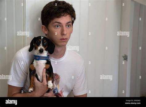 No Hard Feelings Andrew Barth Feldman 2023 Ph Macall Polay © Sony Pictures Entertainment