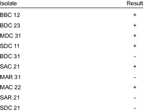 Phosphate Solubilization And Gibberellic Acid Production By Potent
