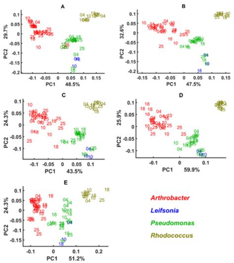 Biology Special Issue Microbial Ecology And Evolution In Extreme