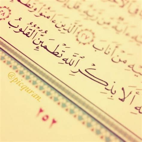 محمد طحان Youtube