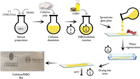 Schematic Representation Of Cellulose Dissolution Modification With