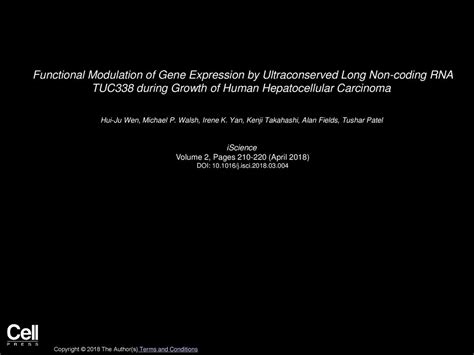 functional modulation of gene expression by ultraconserved long non