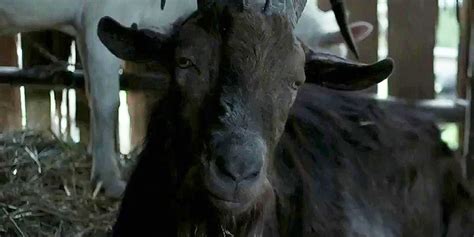 15 Most Iconic Modern Horror Movie Villains Ranked