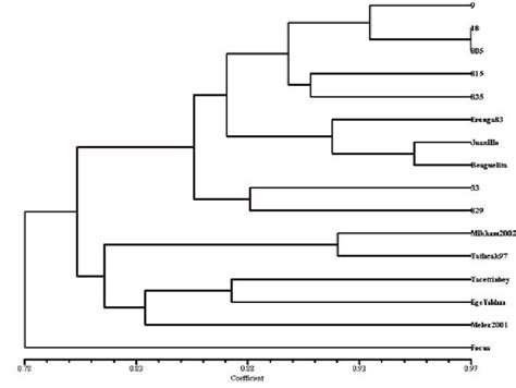 the upgma dendrogram computed using genetic distance matrix based on
