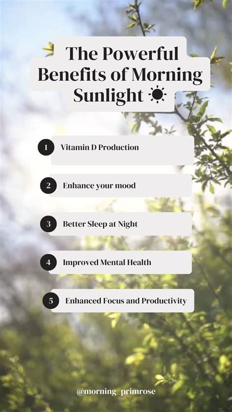 The Importance Of Morning Sunlight For Better Sleep At Brodie Tyler Blog