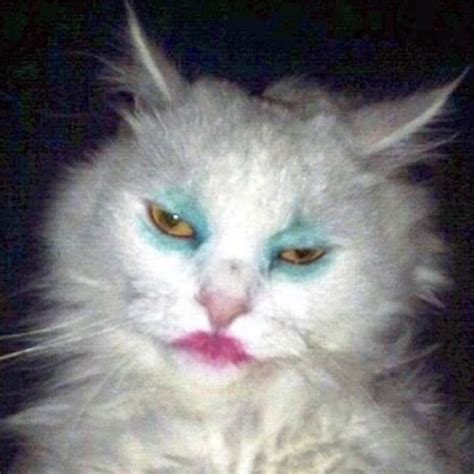 Stream Ya Ebal Music Listen To Songs Albums Playlists For Free On Soundcloud