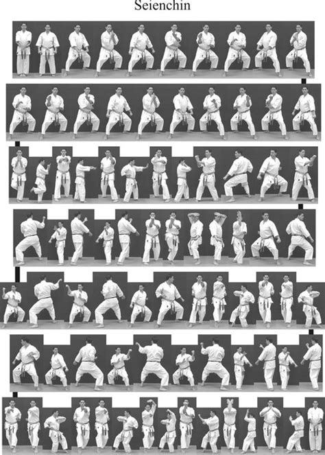 Karate Discover 70 Karate Forms Ideas On This Pinterest Board Karate Kata Goju Ryu Karate