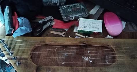 The 6 String 10 Stringed Lyre Album On Imgur