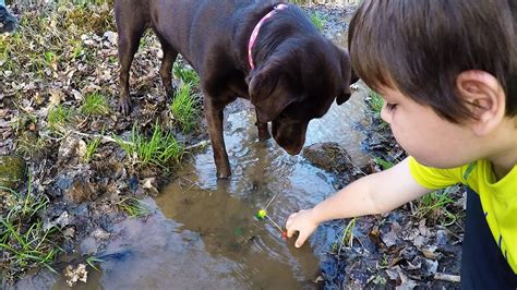Roxy Being Roxy Youtube