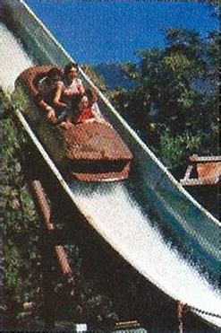 Log Flume Lagoon History Project