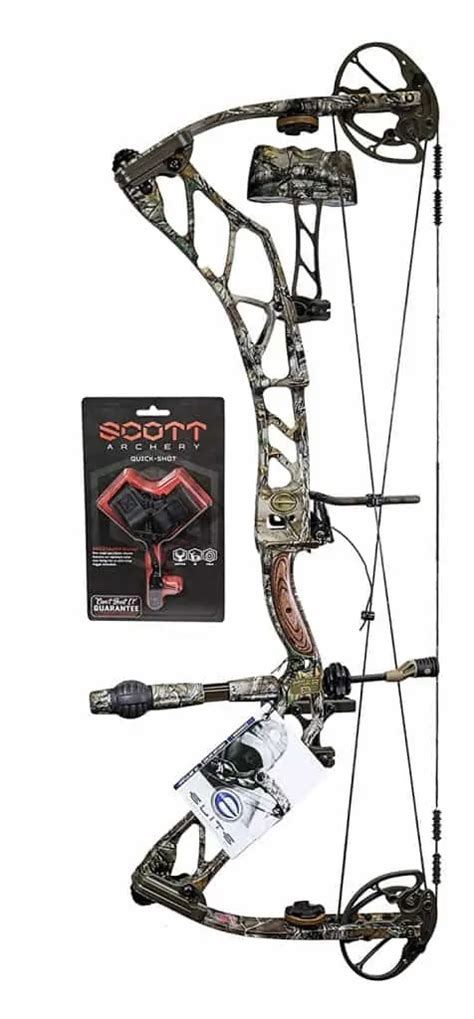 9 Best Brands For Compound Bows 2026