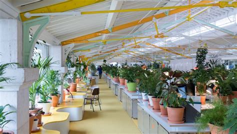 Ten Verdant Office Interiors Filled With Trees And Plants